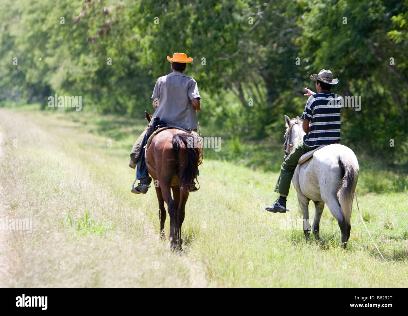 Two horse riders, Cuba, Caribbean, America Stock Photo - Alamy