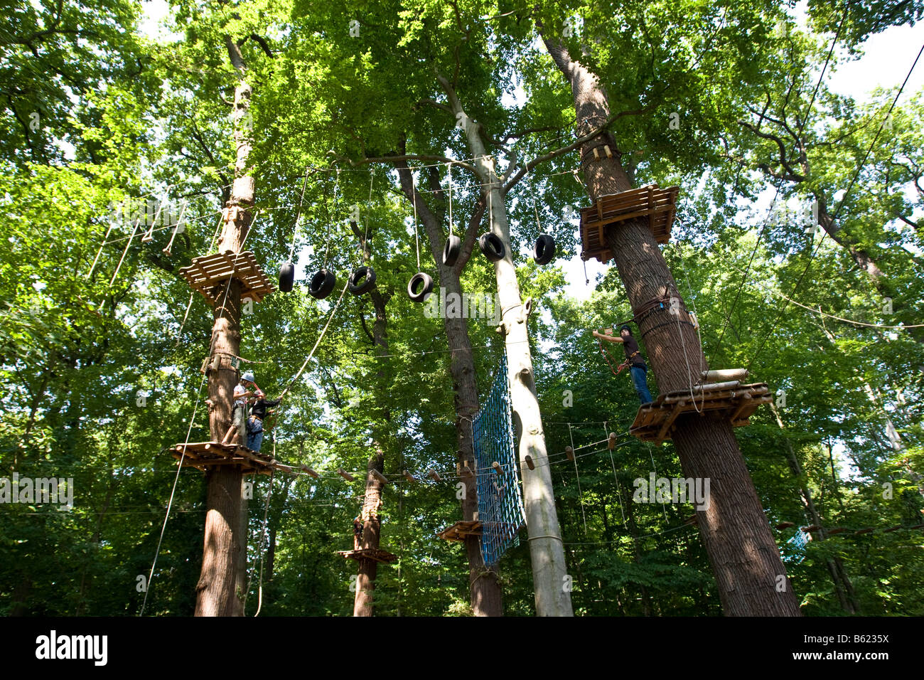 Ropes course with wooden platforms high in the trees, Kletterwald ...