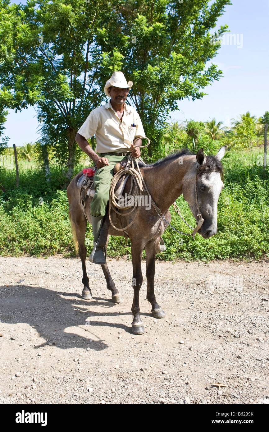 Cuban on a horse with a typical Cuban hat, Cuba, the Caribbean, America ...