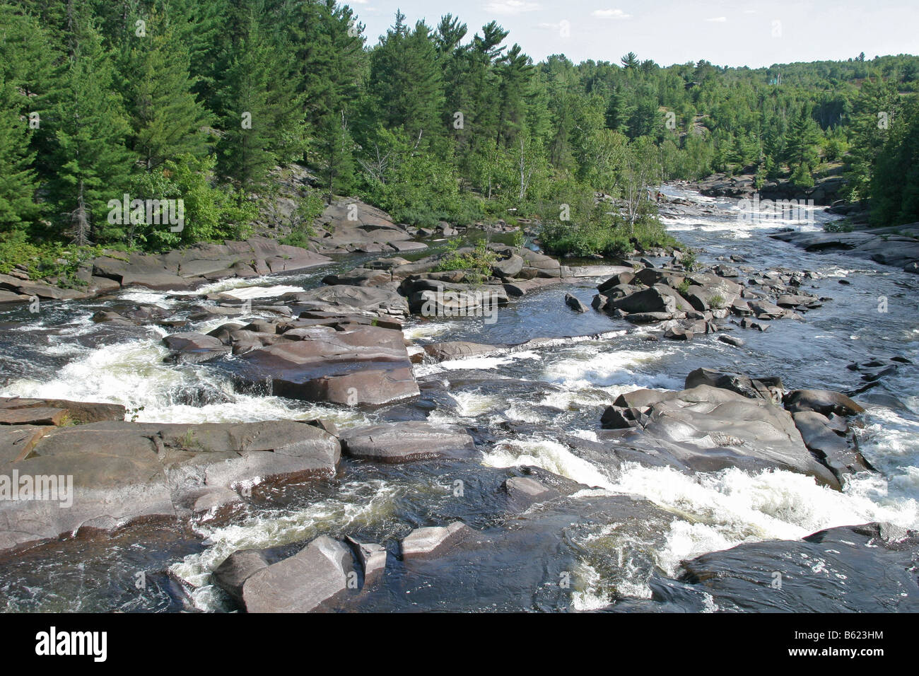 river flowing through rocks amid evergreen forest Stock Photo - Alamy