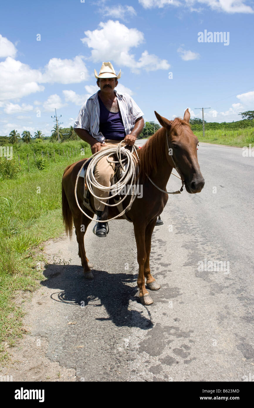 Proud Cuban rider on his horse, Cuba, Latin America Stock Photo - Alamy