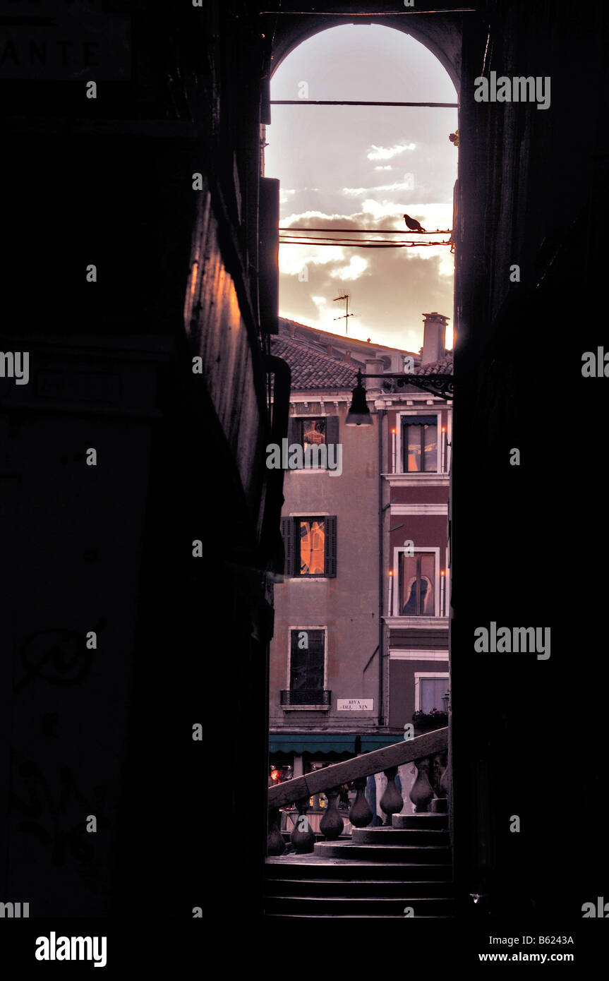 Alley leading to the water, near the Rialto Bridge, evening, Rialto ...