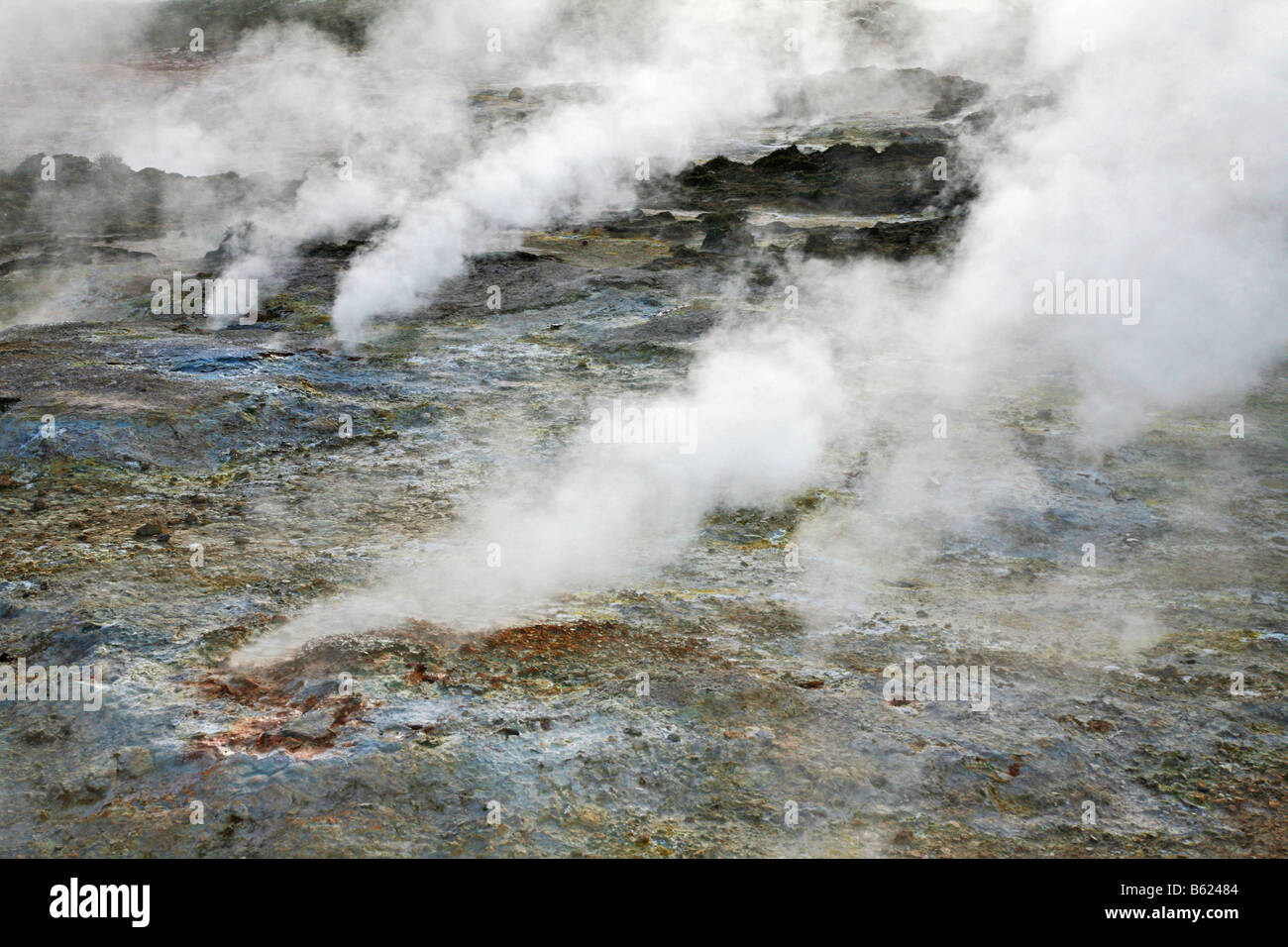 Geothermal region of Gunnuhver in southern Iceland with steam from the ...