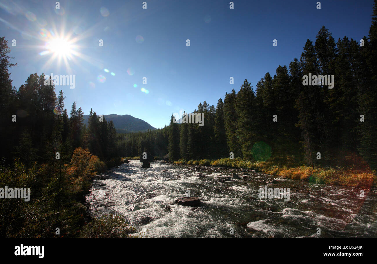 Maligne River in Jasper National Park Stock Photo - Alamy