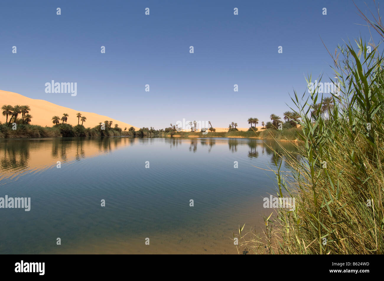 Umm El Ma lake Erg Awbari Sahara desert Fezzan Libya Stock Photo - Alamy