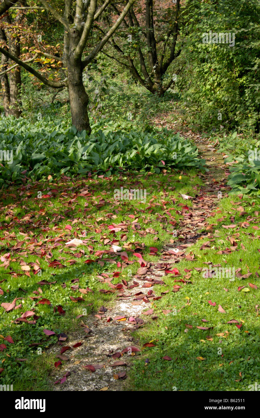 Pathway in an autumnal garden Stock Photo - Alamy