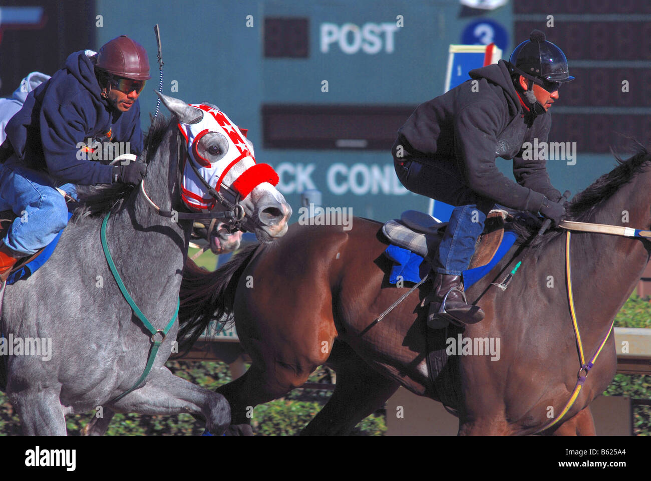 American horse racing hi-res stock photography and images - Alamy