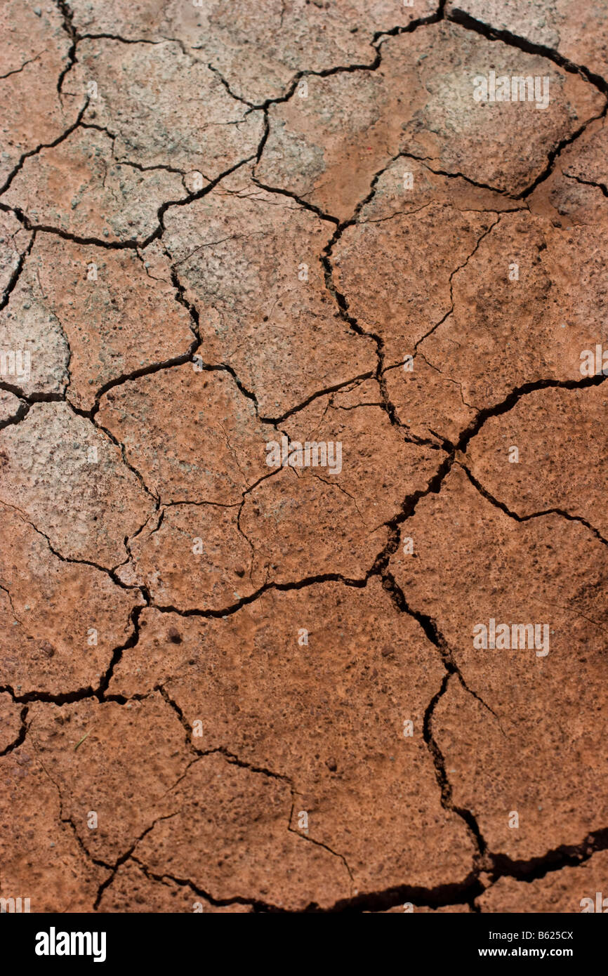 Cracked dry mud Stock Photo - Alamy