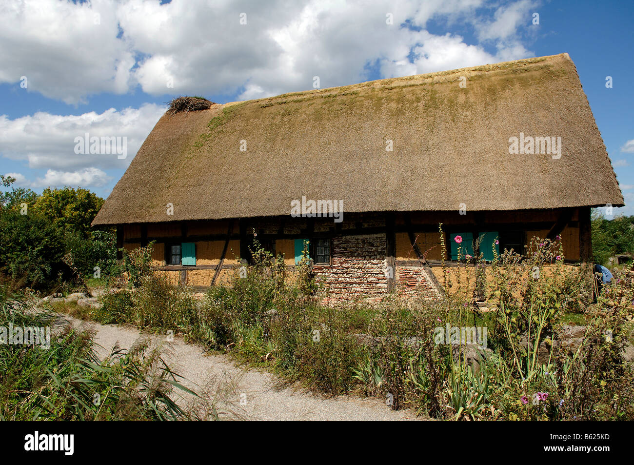 Wattle and daub hi-res stock photography and images - Alamy
