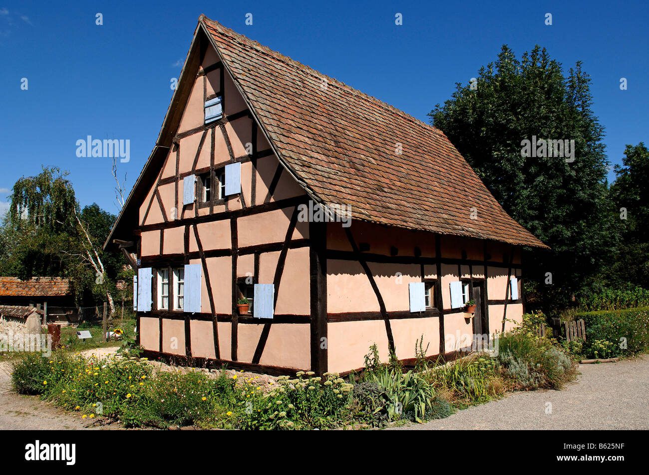 Timber frame wall construction hi-res stock photography and images - Alamy