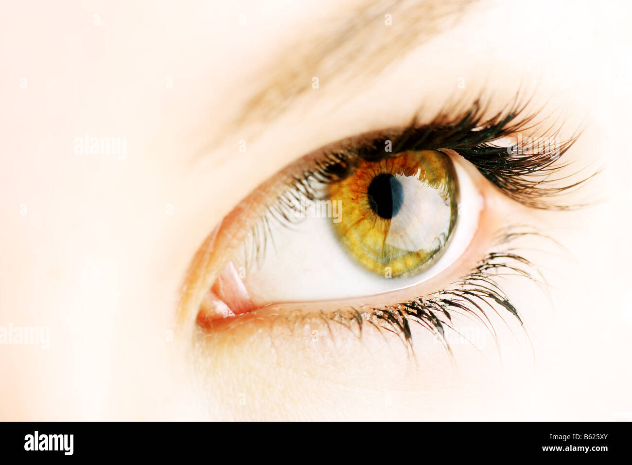 Female hazel eye close up hi-res stock photography and images - Alamy