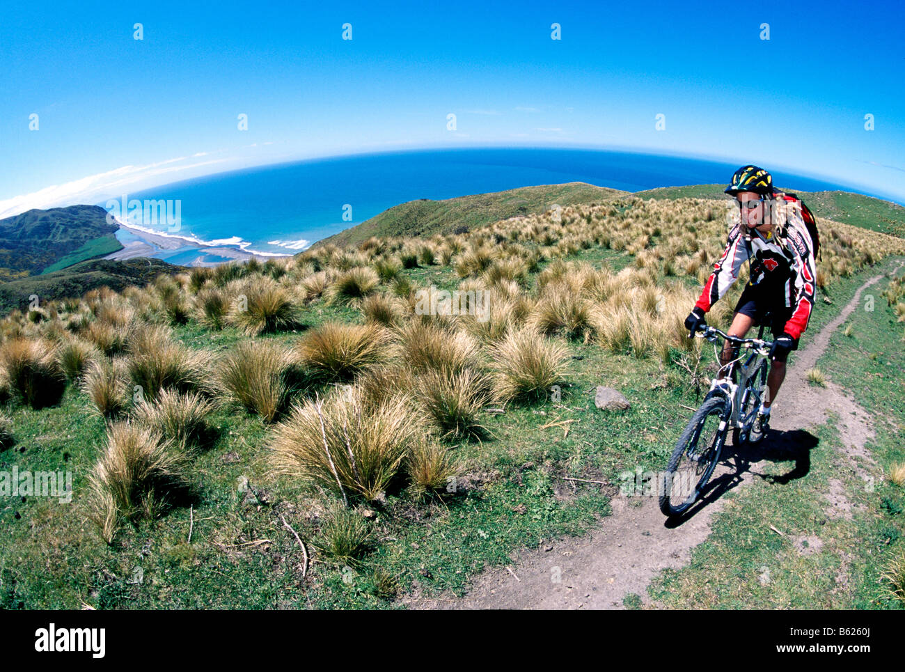 Mountainbiker, Cheviot, East Coast, South Island, New Zealand Stock ...