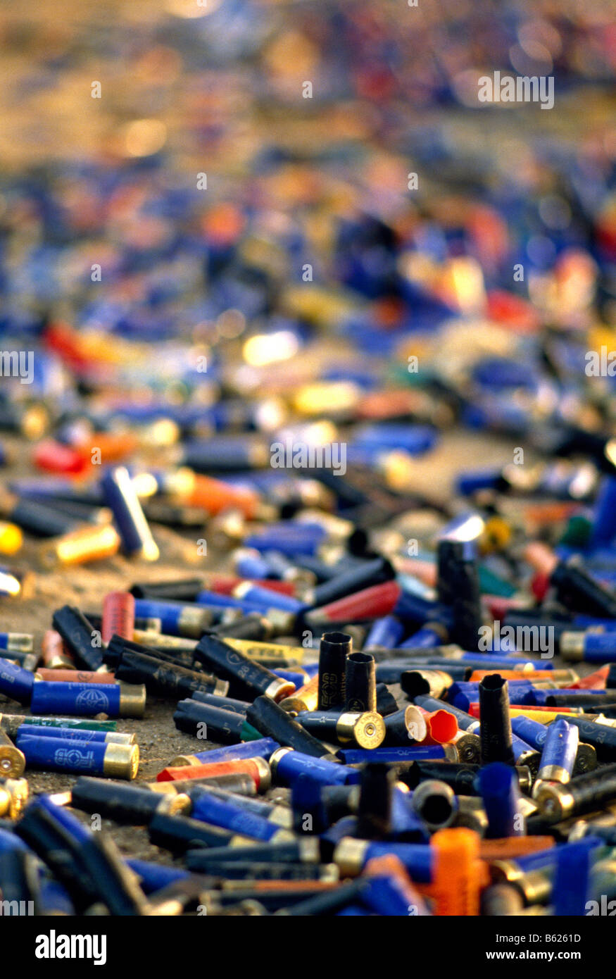 Shotgun Shell Sizes Comparison Chart And Commonly Used 42 Off