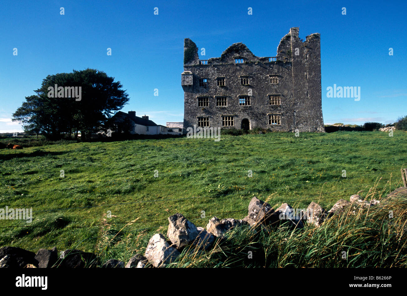 Leamenah Castle, The Burren, County Clare, Ireland, Europe Stock Photo ...