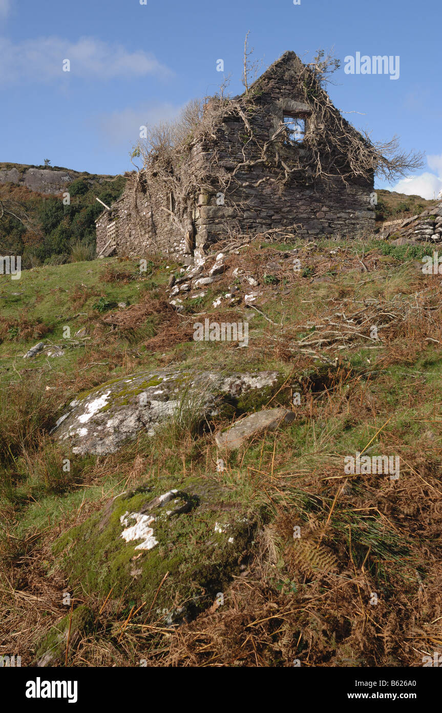 Irish famine cottage hi-res stock photography and images - Alamy