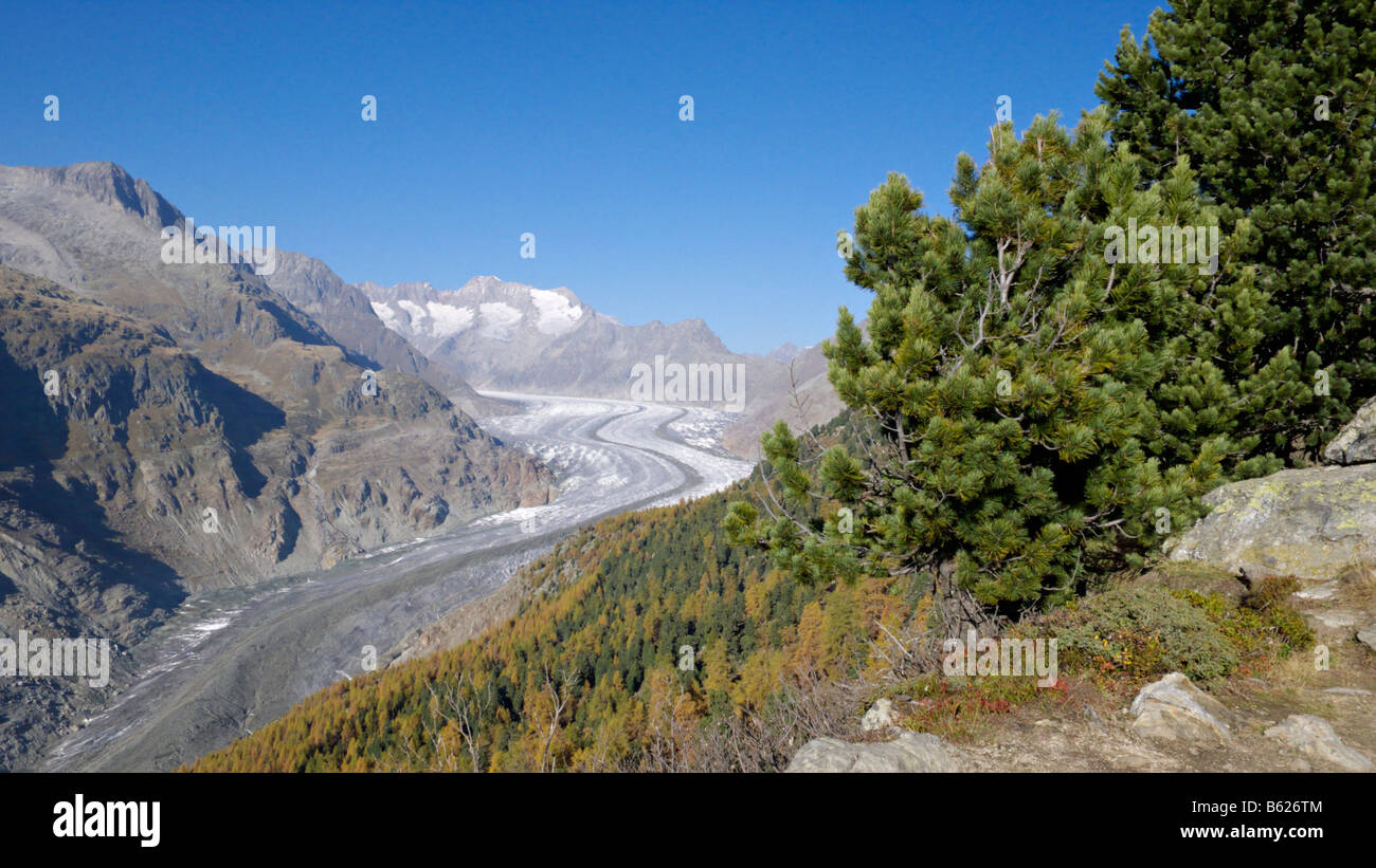 Glacier protection hi-res stock photography and images - Alamy