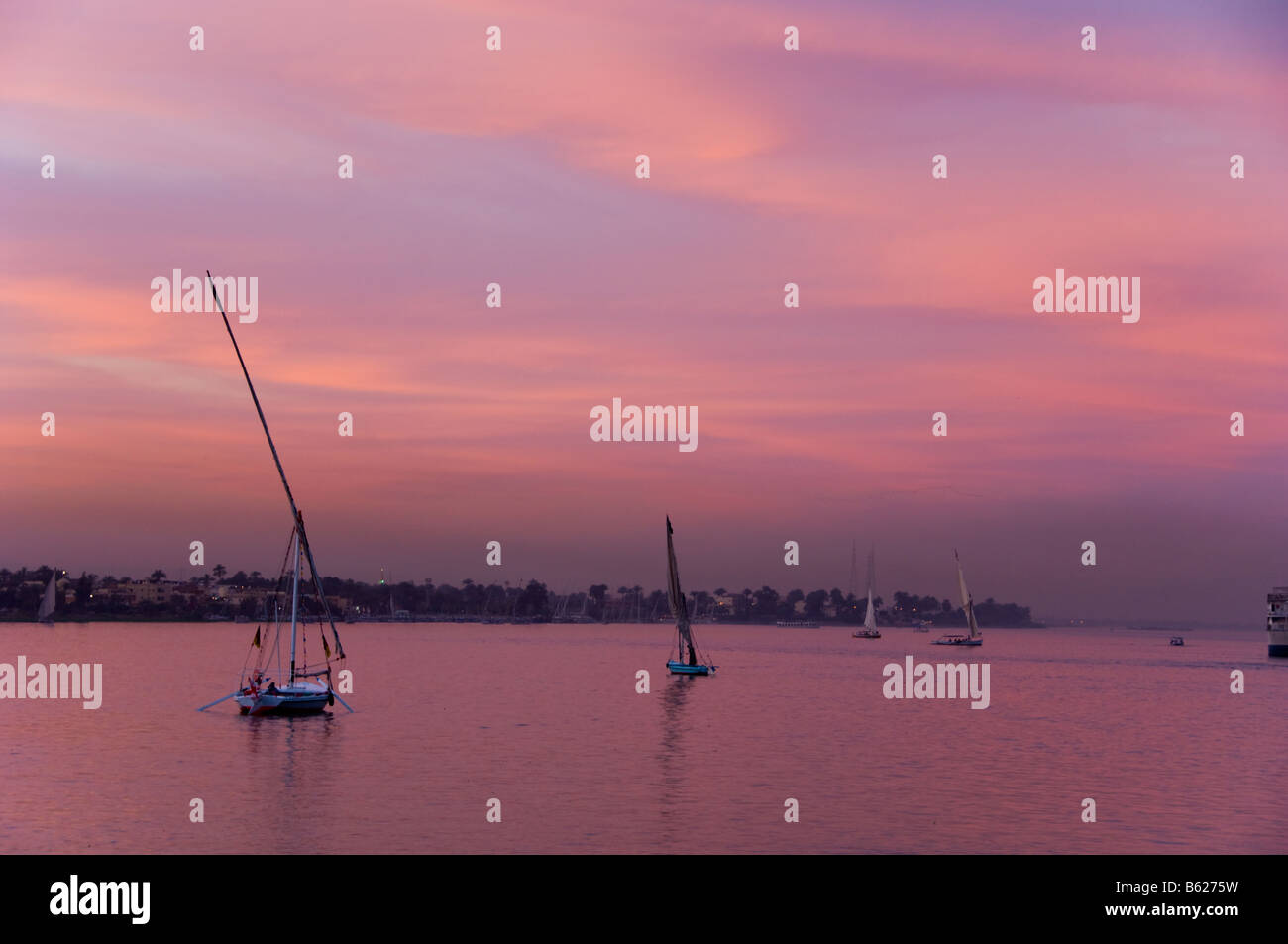 Tourist felucca along bank nile hi-res stock photography and images - Alamy