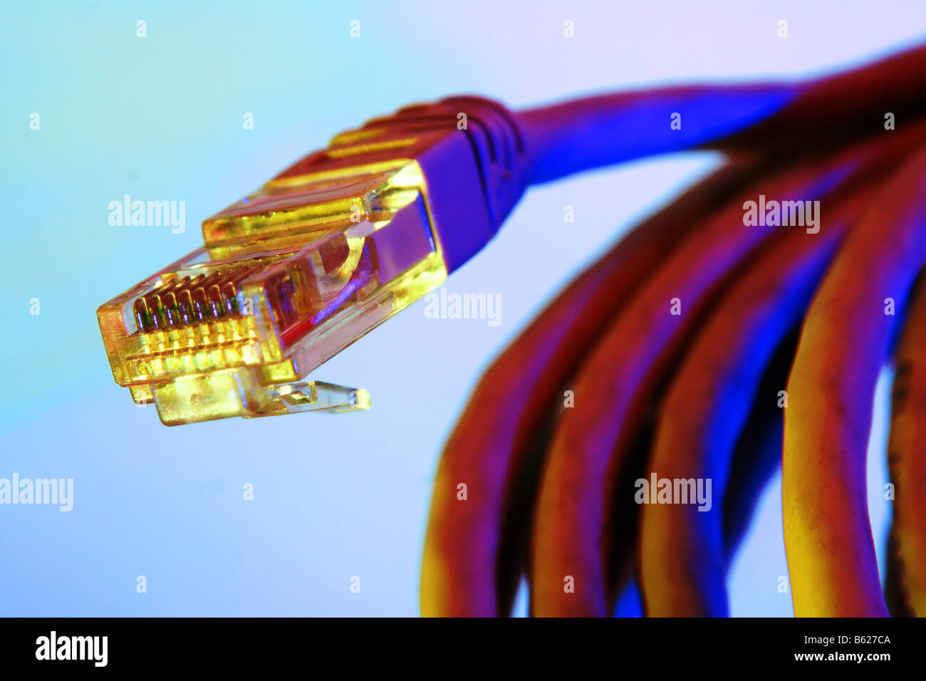 Network cable detail in special color light Stock Photo - Alamy