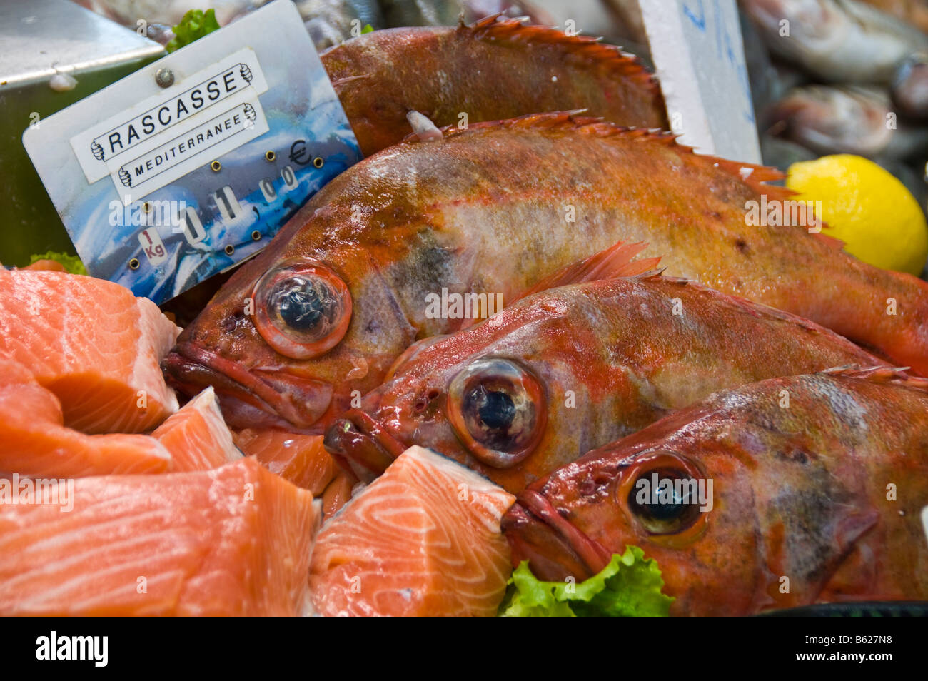Rascasse hi-res stock photography and images - Alamy