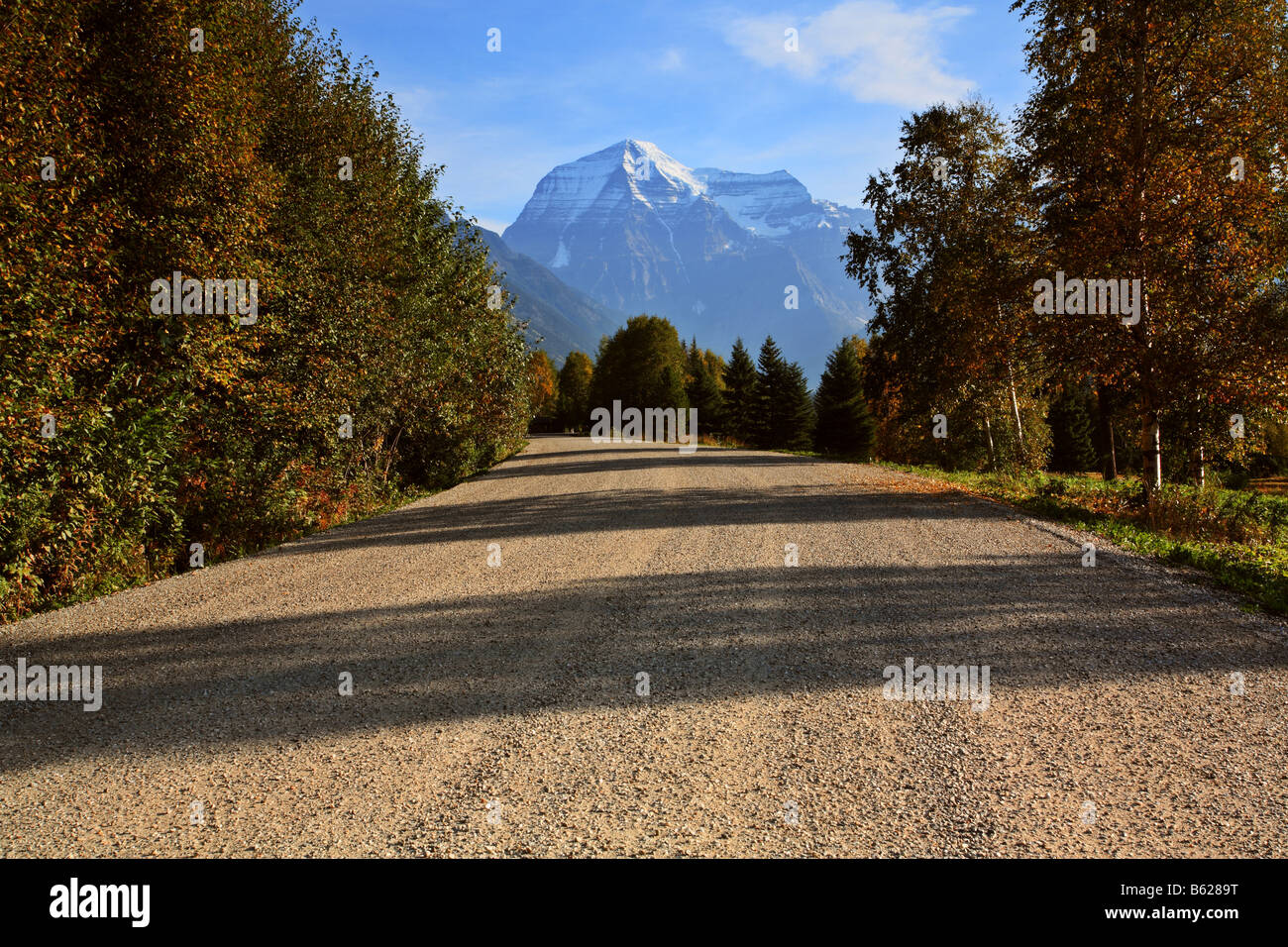 Road view of the Mount Robson Stock Photo - Alamy