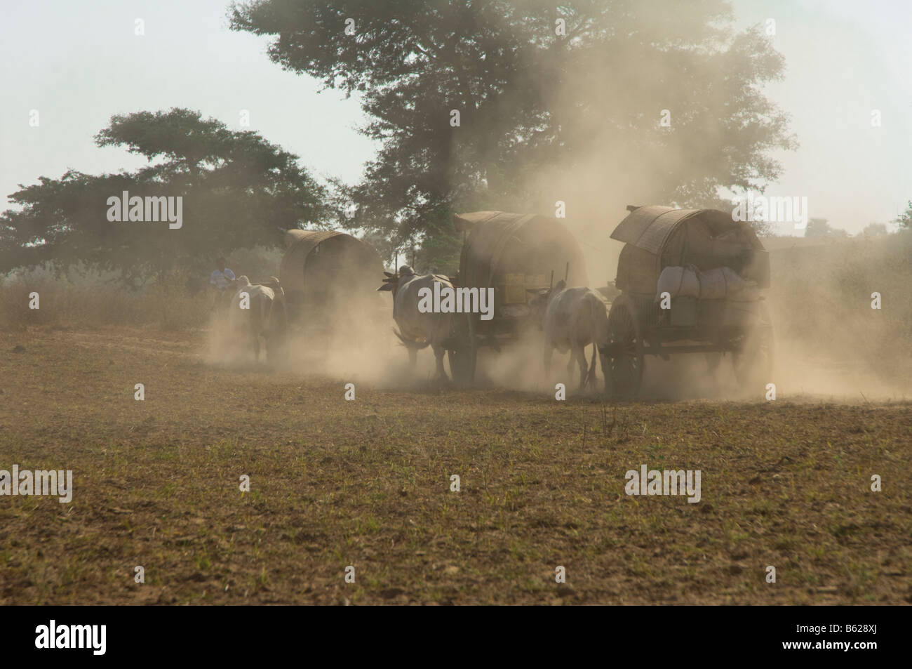 Ox carriage on a dustry road Bagan Pagan Myanmar Burma Stock Photo - Alamy