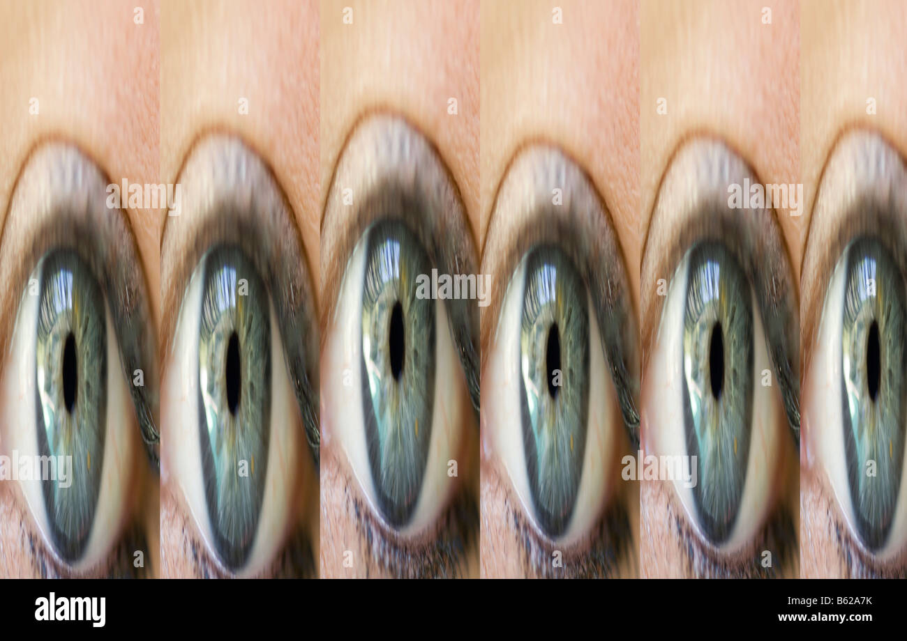 human eye sequence Stock Photo - Alamy