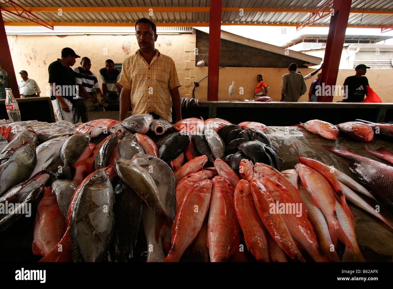 Marktstand am fischmarkt hi-res stock photography and images - Alamy