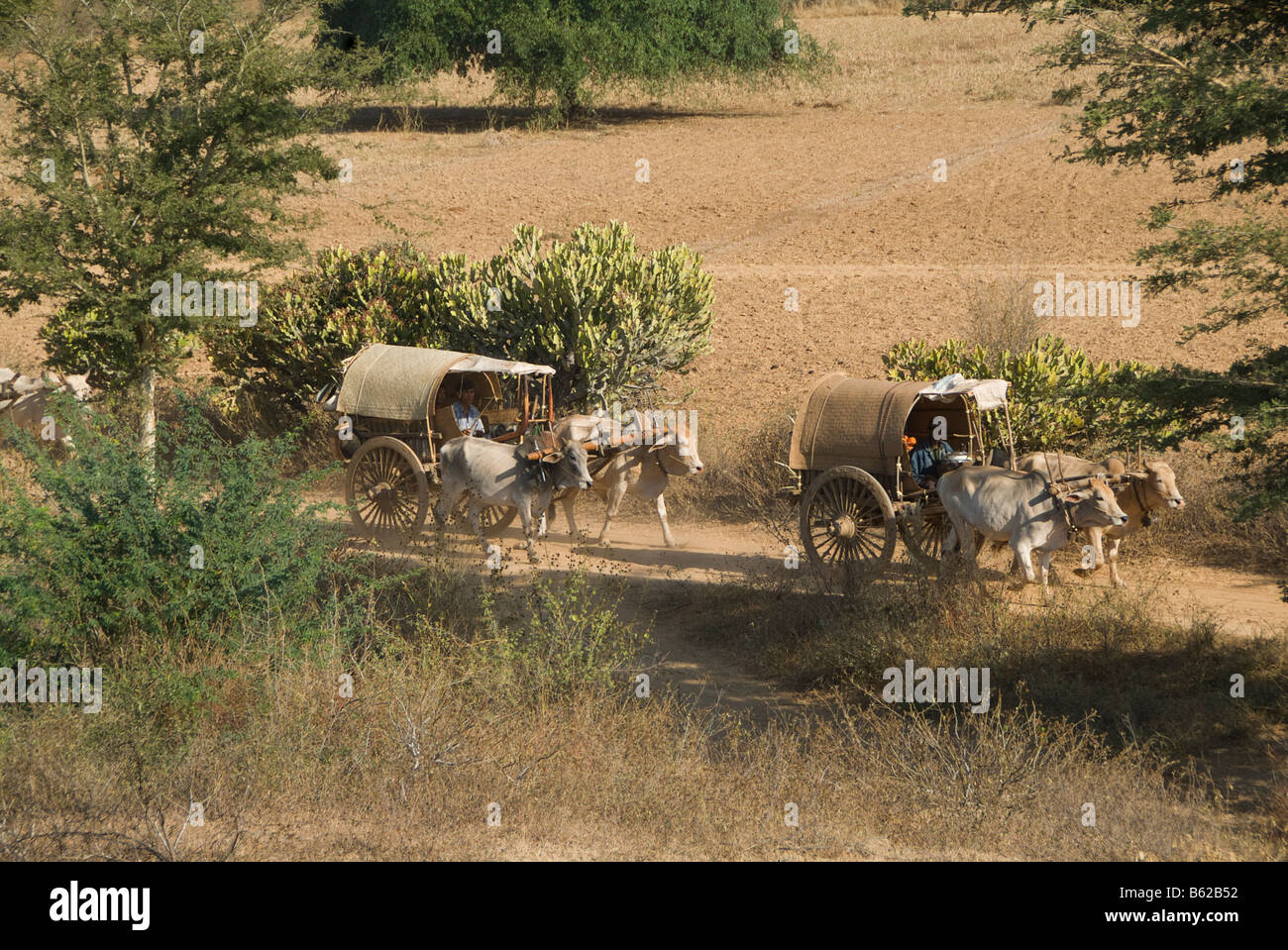 Ox cart tracks hi-res stock photography and images - Alamy