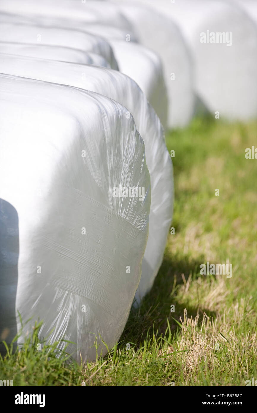 Wrapped up hay bales hi-res stock photography and images - Alamy