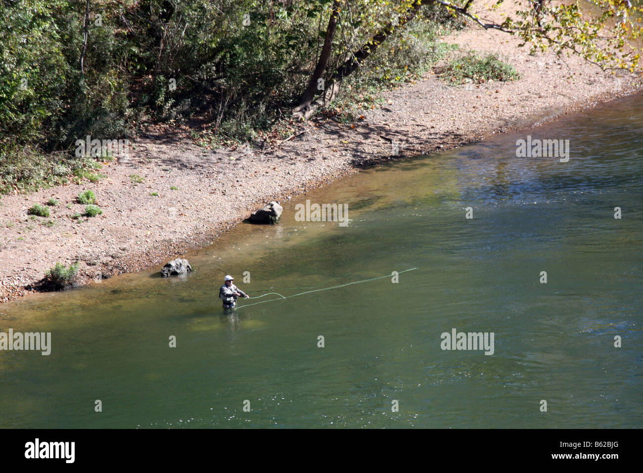 A Fly Fisherman on the bank of Lake Taneycomo that flows downstream ...