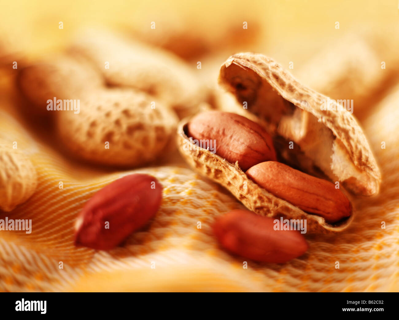 Brown peanut nut with shell on yellow Stock Photo - Alamy