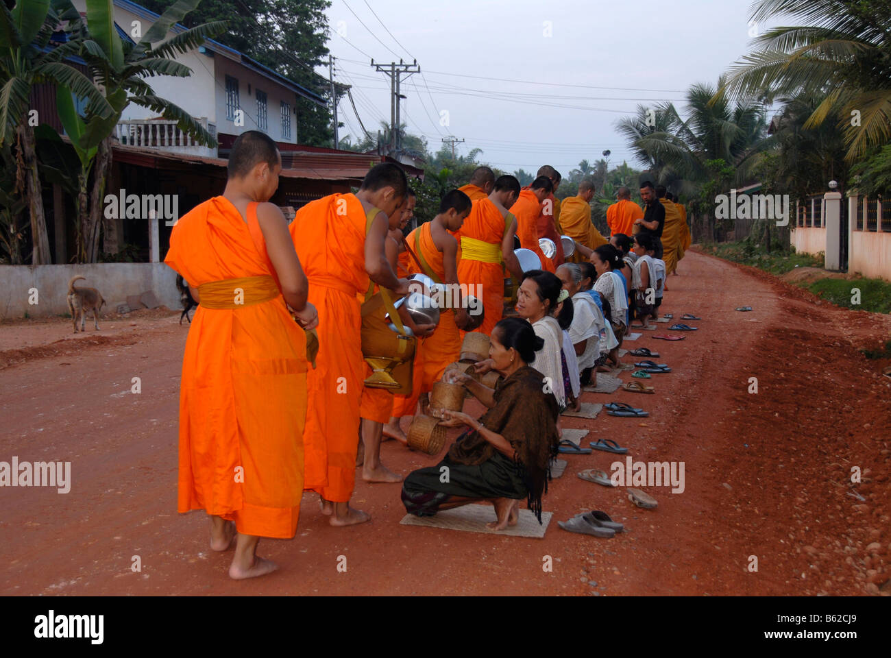 Buddhist monks getting rice at the morning alms-dealing, Wat Nakhoun ...