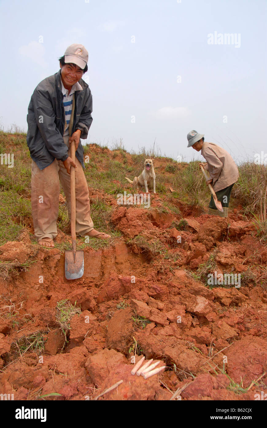 Men with shovels digging for live munitions from the Vietnam War ...
