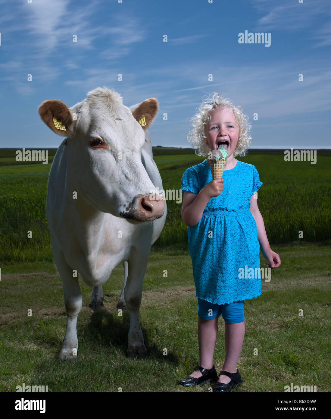 Young girl eating an Ice cream cone with white dairy cow, Eastern ...