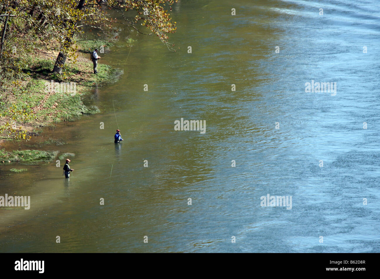 Three Fly Fishermen on the bank of Lake Taneycomo and another flowage ...