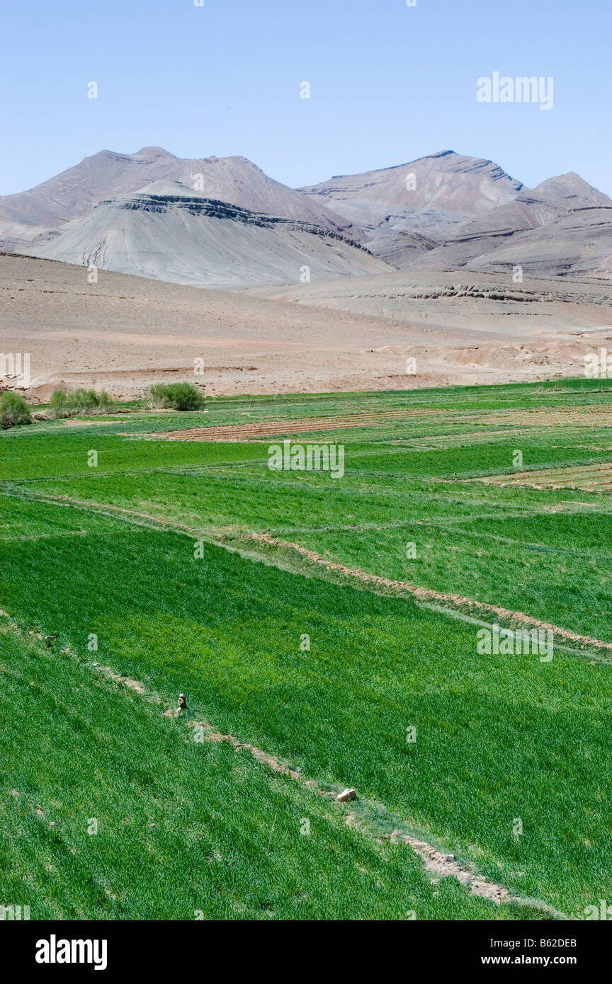 The Berber village of Agoudal hight Atlas Morocco North Africa Stock ...