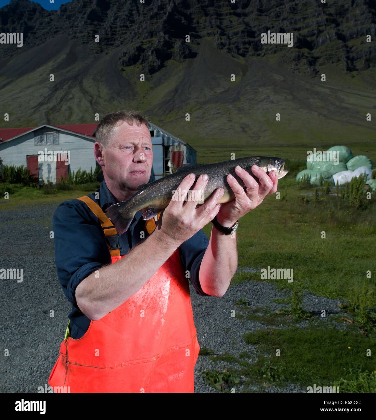 Arctic trout hi-res stock photography and images - Alamy