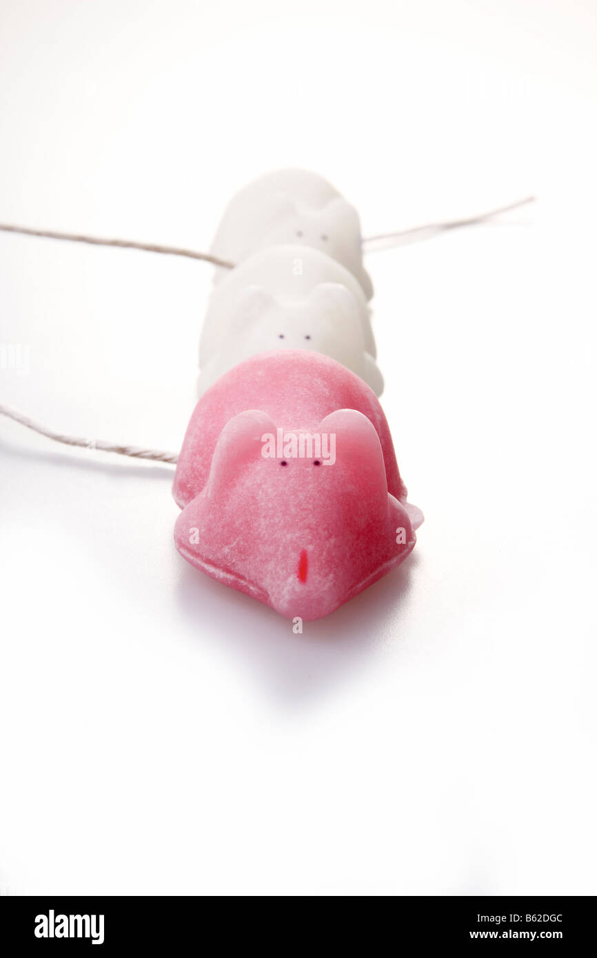 Candy sugar mice on white background Stock Photo - Alamy