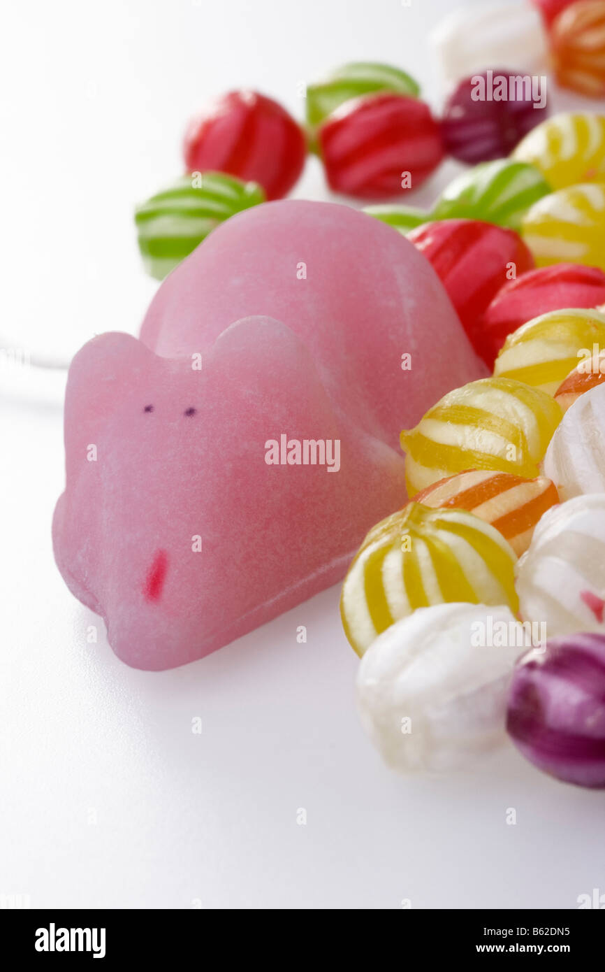 Candy sugar mice and colorful hard sweets on white background Stock ...