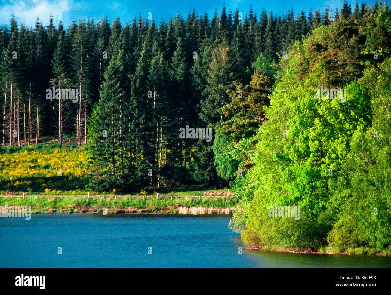 Ty france hi-res stock photography and images - Alamy