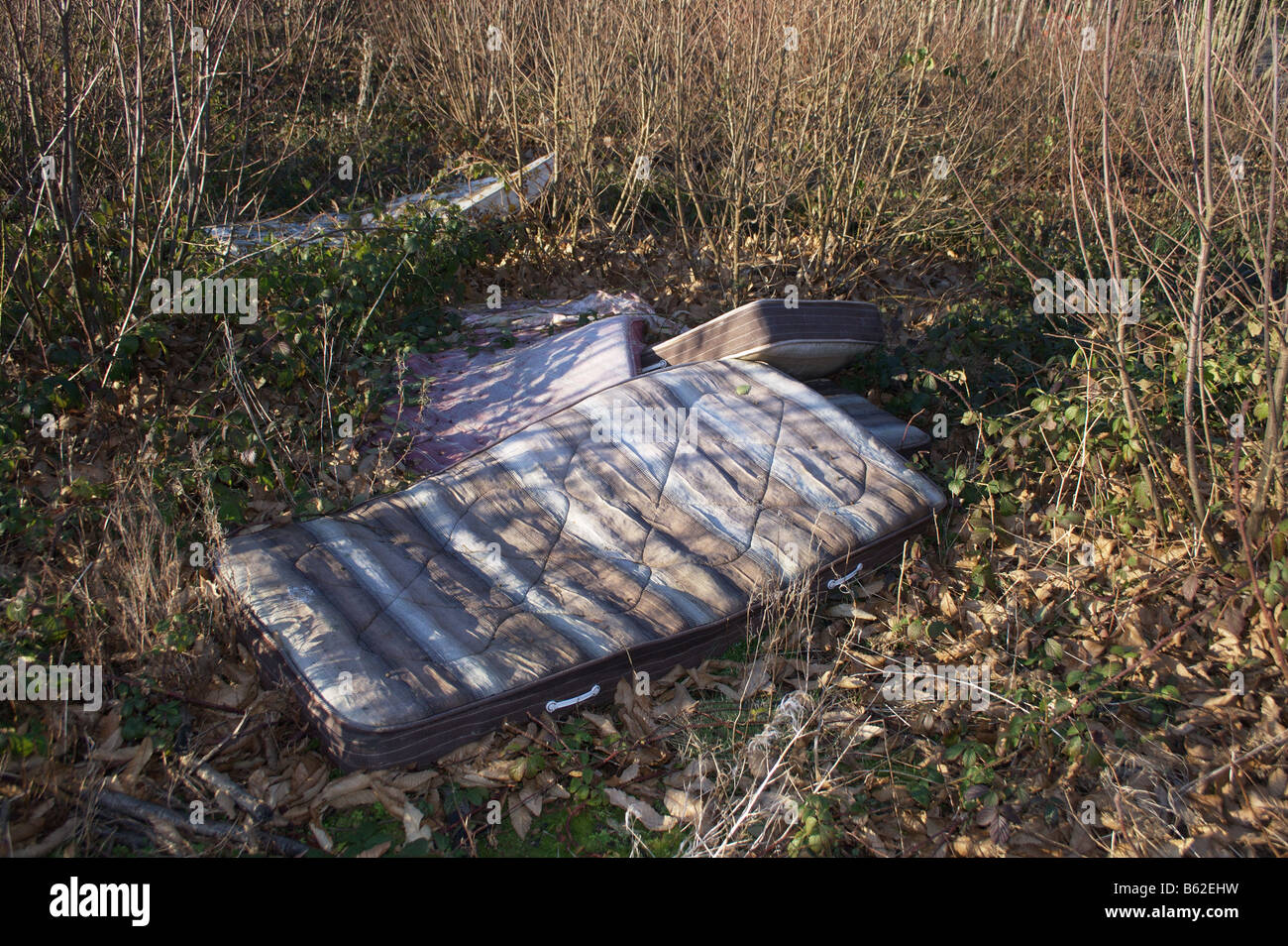 Mattress dumped in a wood Stock Photo - Alamy