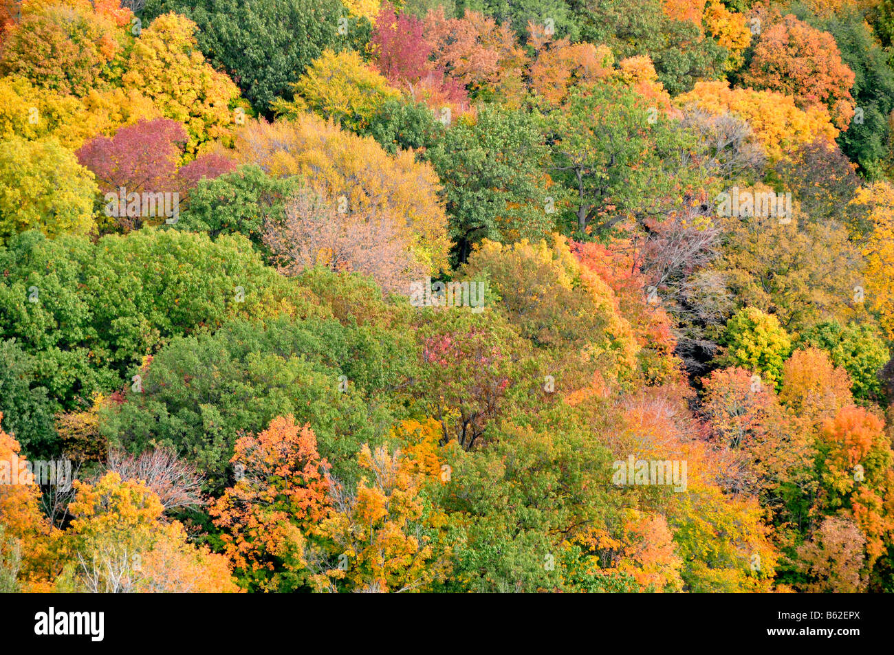 Ohio rural fall colors hi-res stock photography and images - Alamy