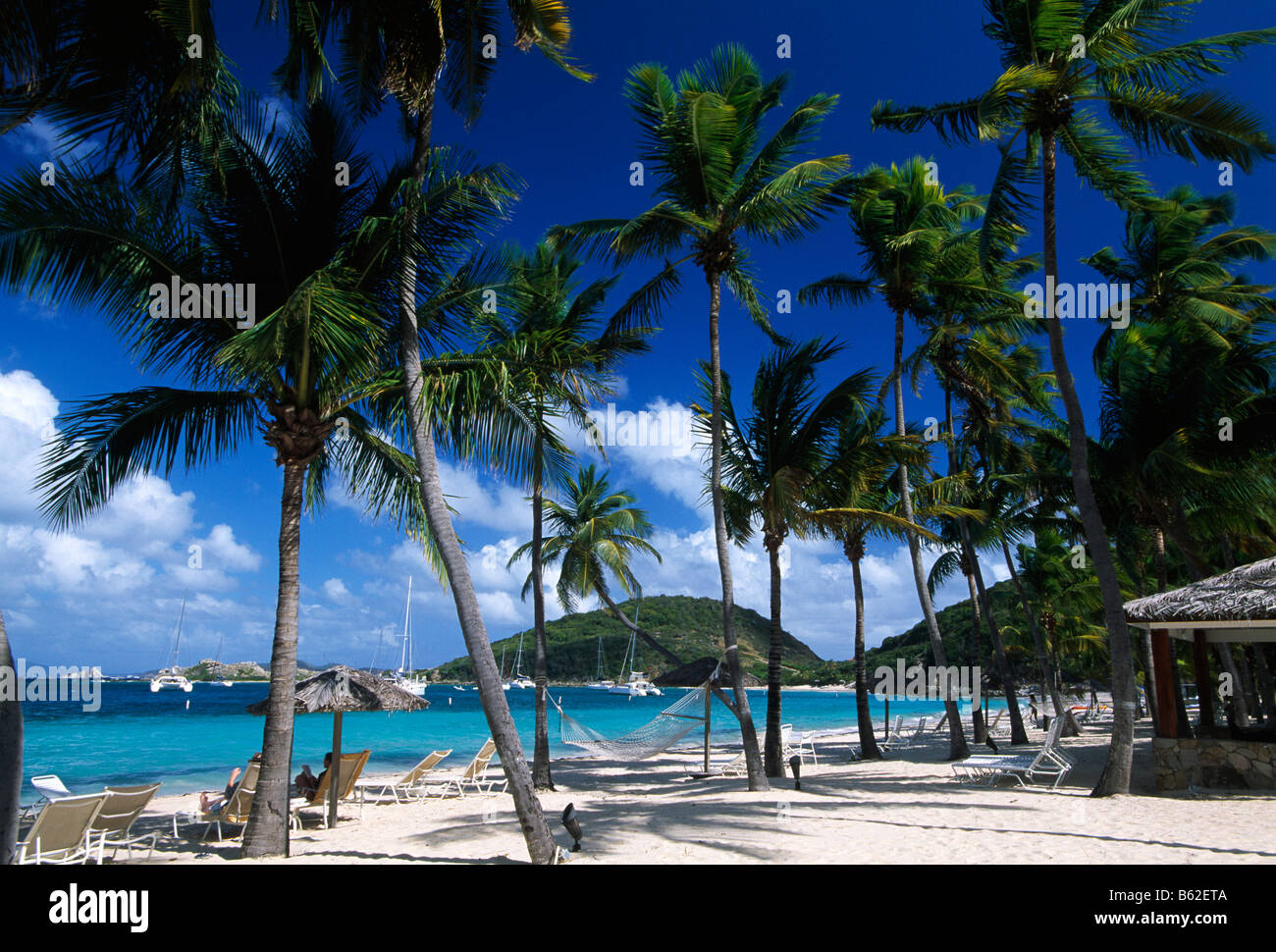 Beach on Peter Island British Virgin Islands Caribbean Stock Photo - Alamy
