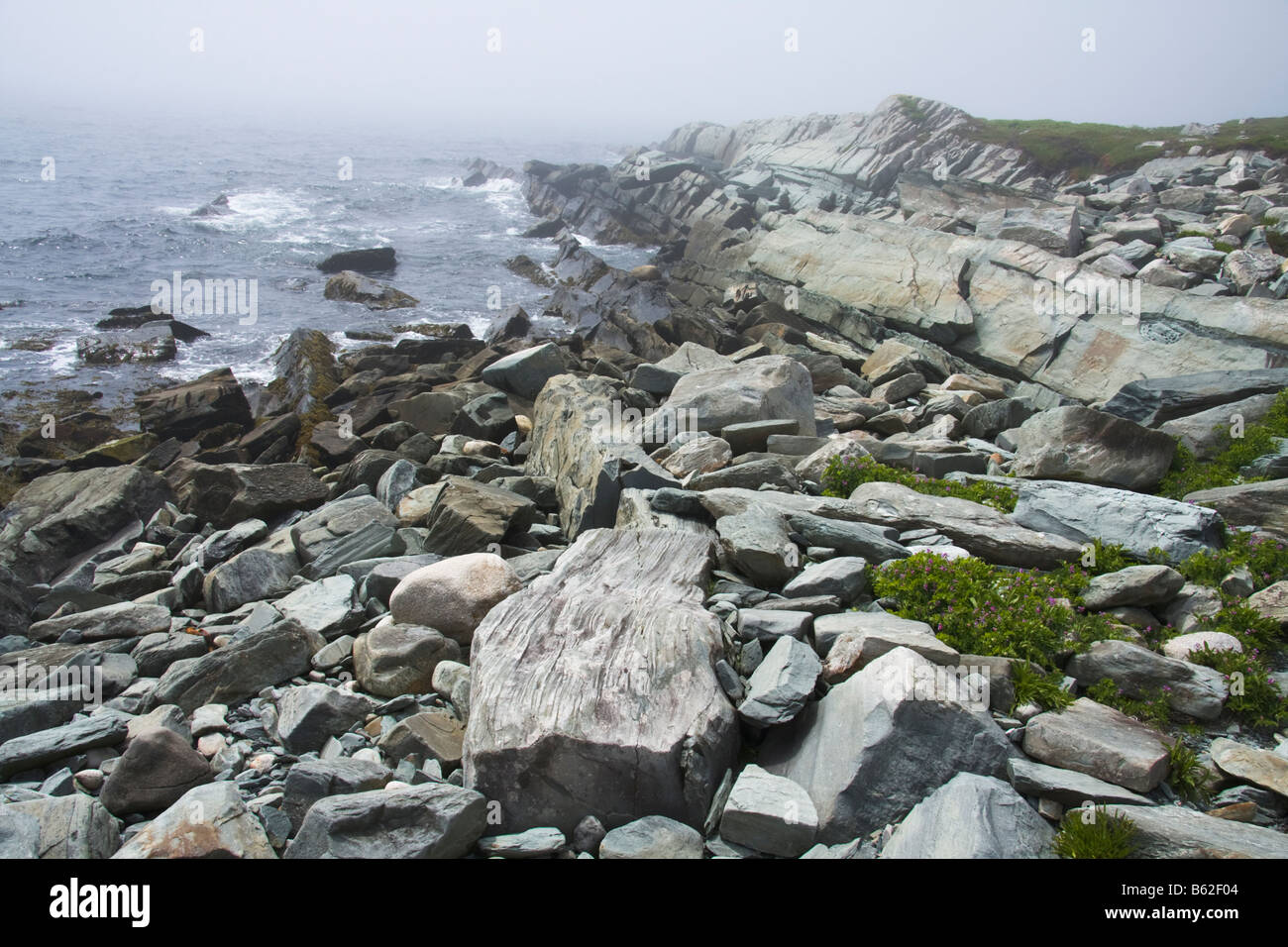 Eroded Rocky Shoreline - Spry Bay Trail, Taylor Head Provincial Park ...