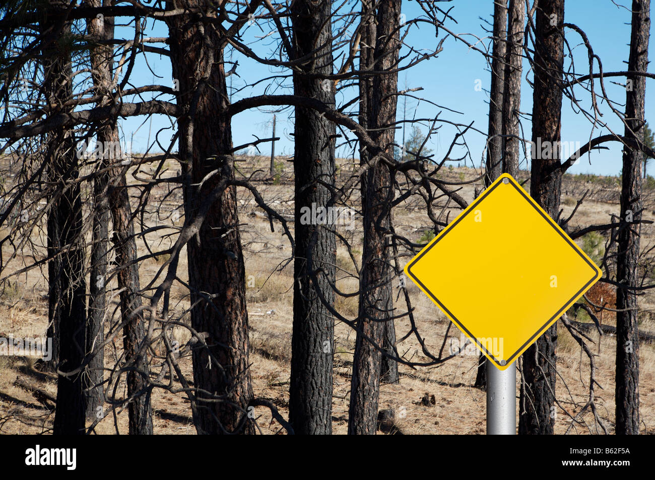 warning blank traffic sign Stock Photo - Alamy