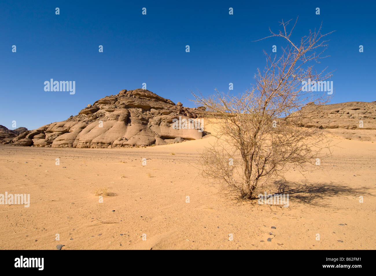 Akakus Sahara desert Fezzan Libya Stock Photo - Alamy