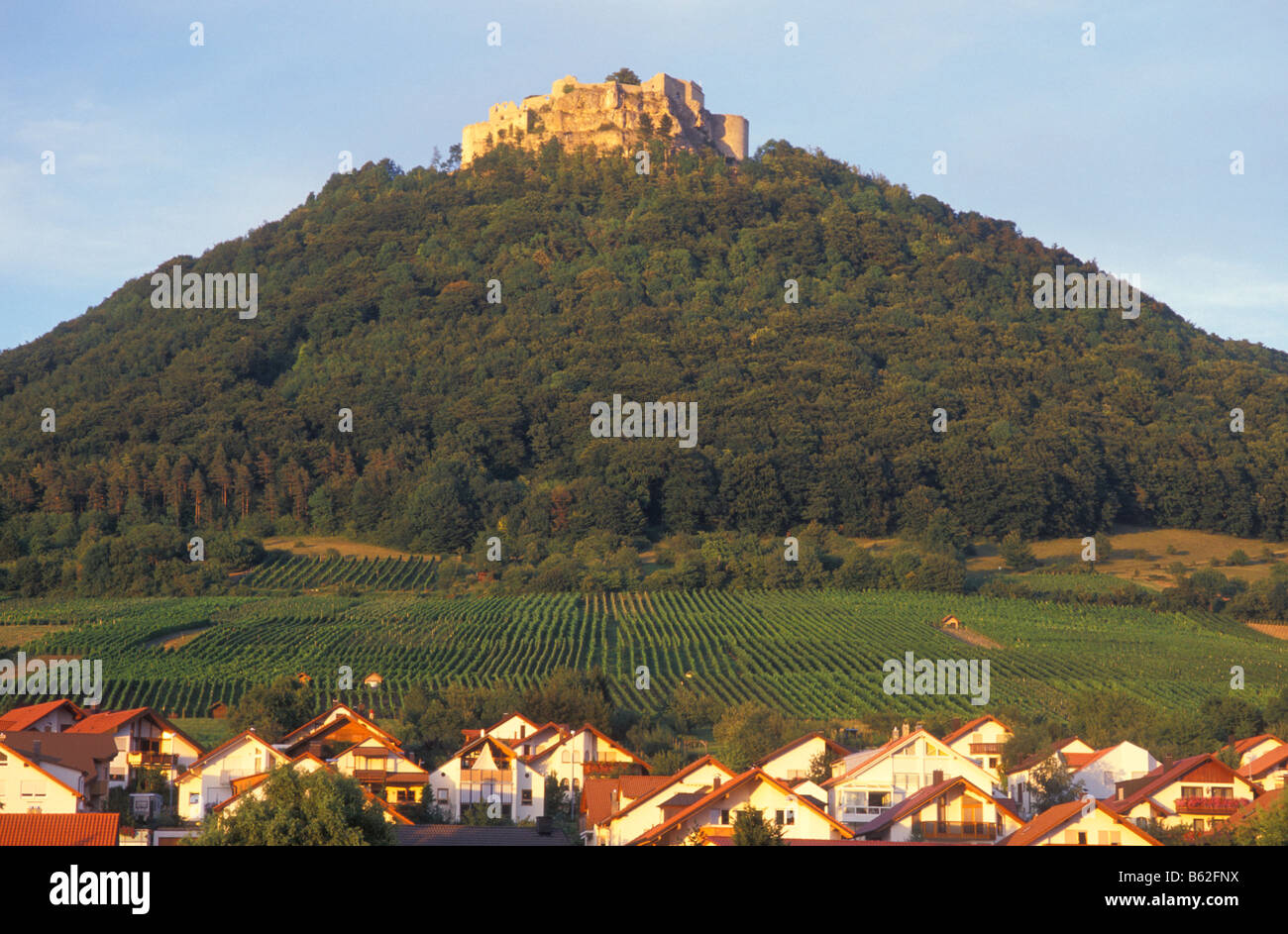 Castle Ruin Hohenneuffen, near Neuffen, Swabian Alb, Baden Wurttemberg ...