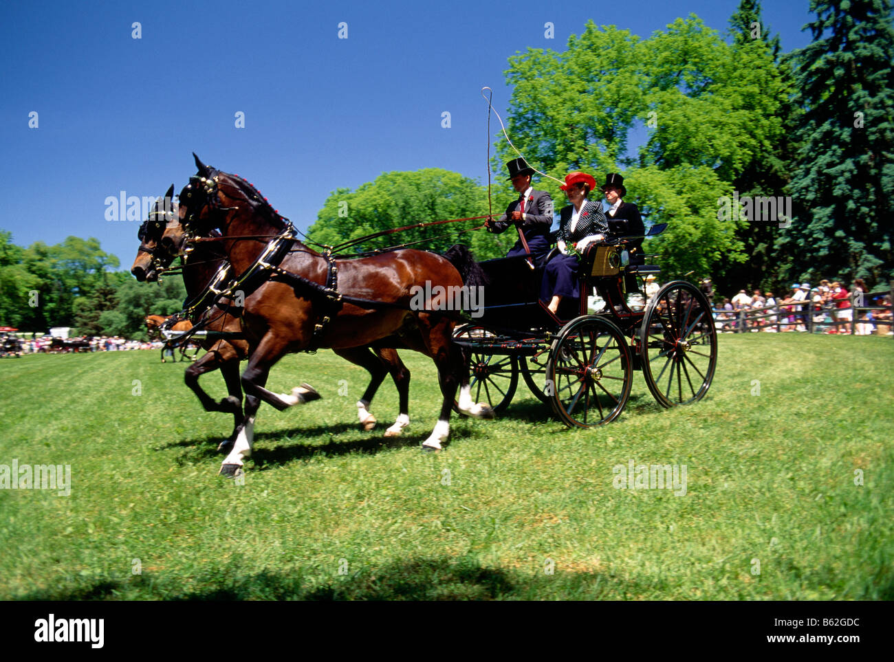 Devon Horse Show & Country Fair, Devon, Pennsylvania, USA. The oldest ...