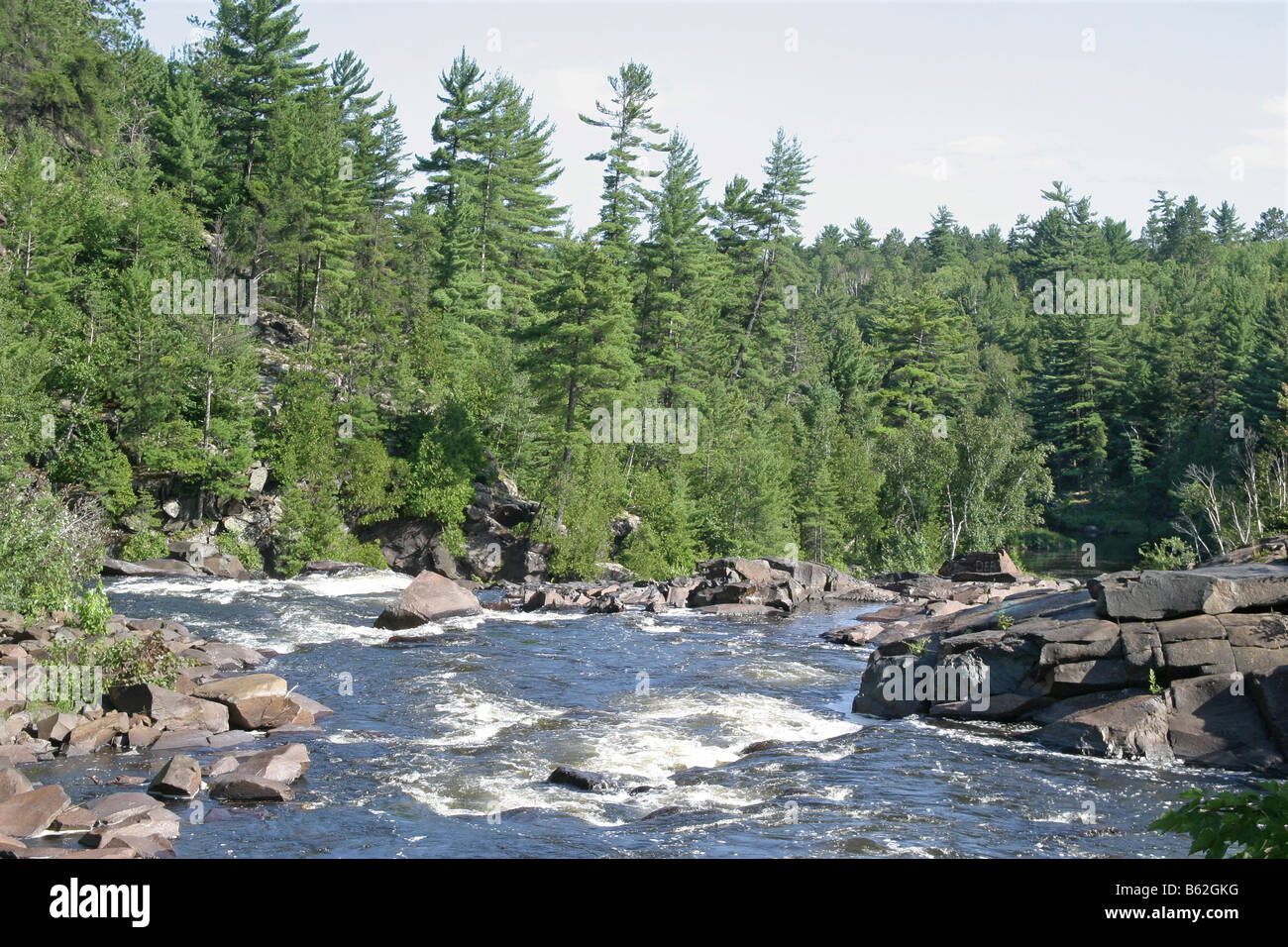Canadian shield forest hi-res stock photography and images - Alamy