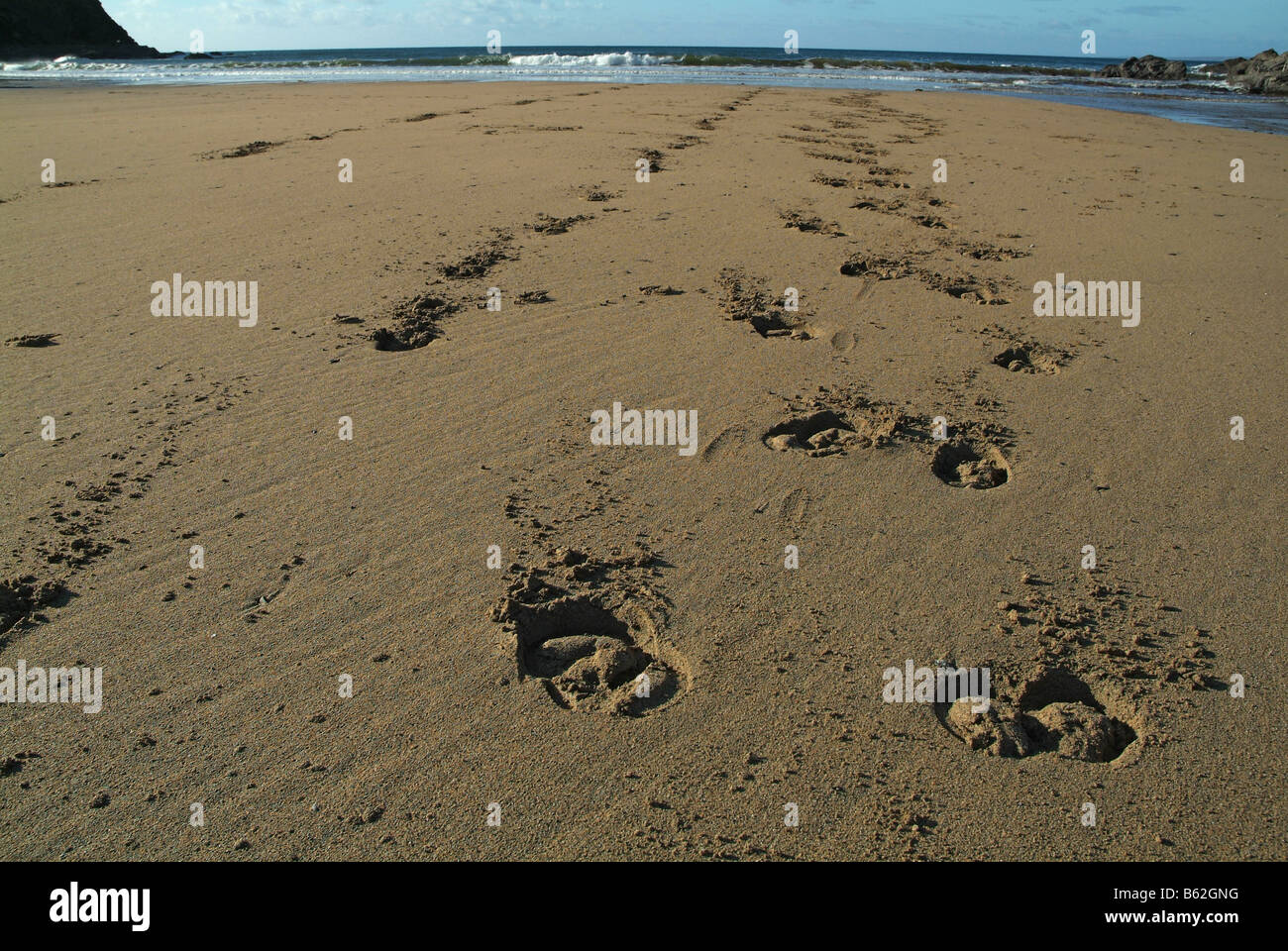 Poldhu Cove The Lizard Cornwall UK Stock Photo - Alamy